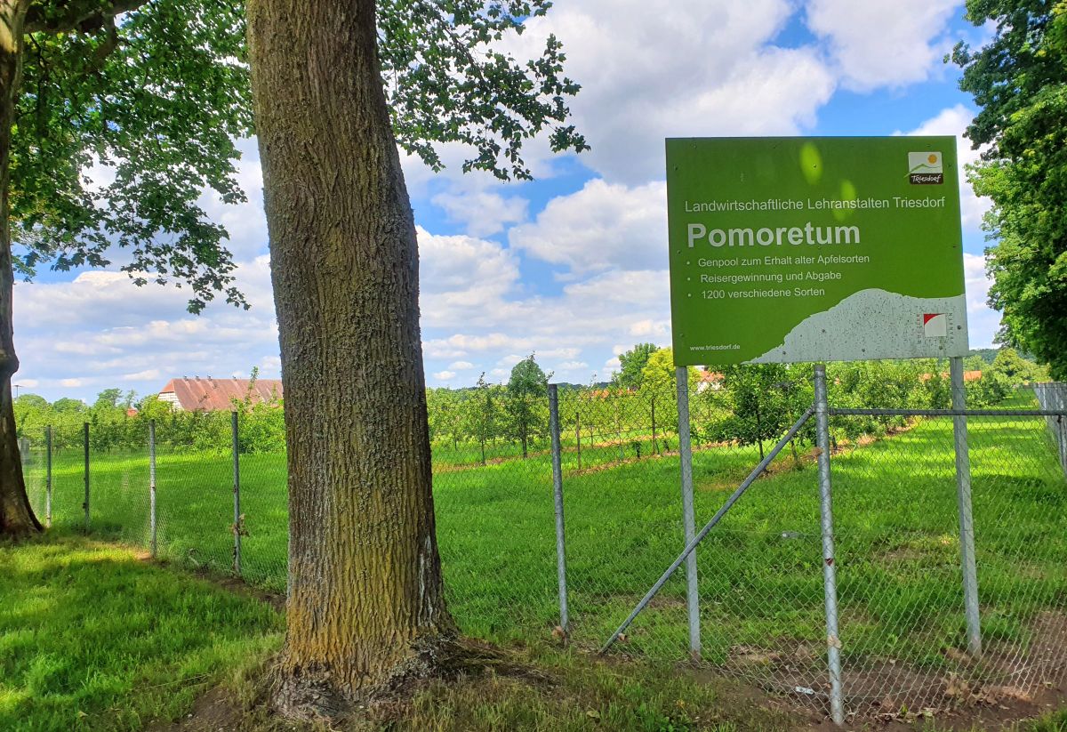 Ein Uni-Dorf aus lauter Lustschlösschen (Triesdorf) – überallistesbesser.de